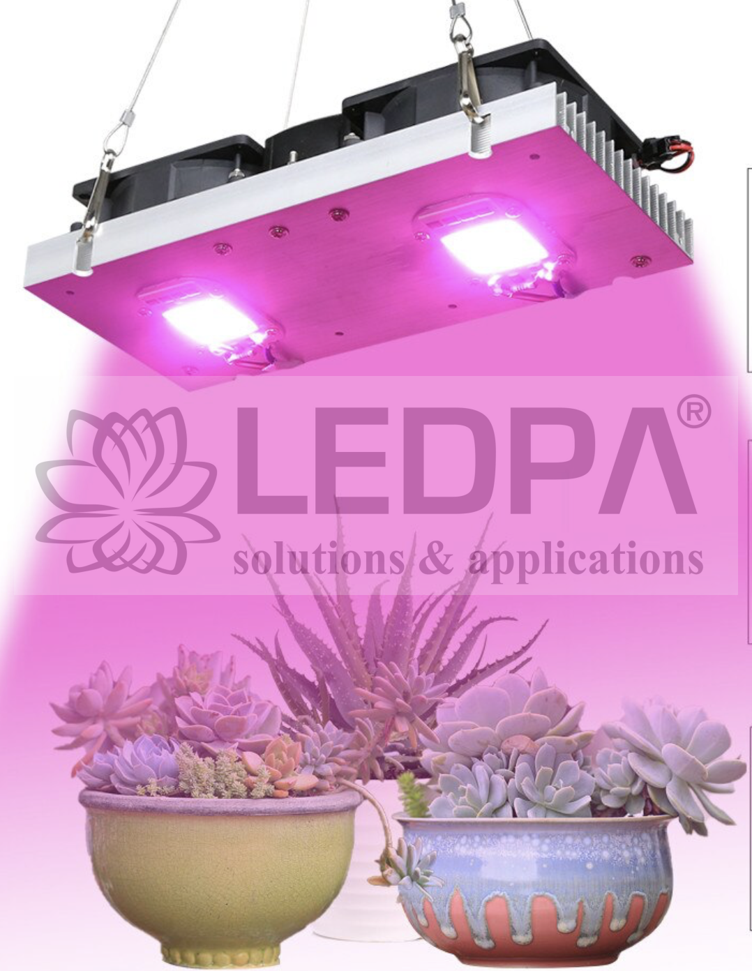50W FULLSPECTRUM , BİTKİ YETİŞTİRME LEDİ COB LED | Ledpa Aydınlatma